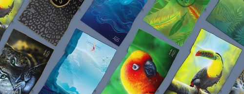 Solem | Serviettes en microfibre douces et compactes